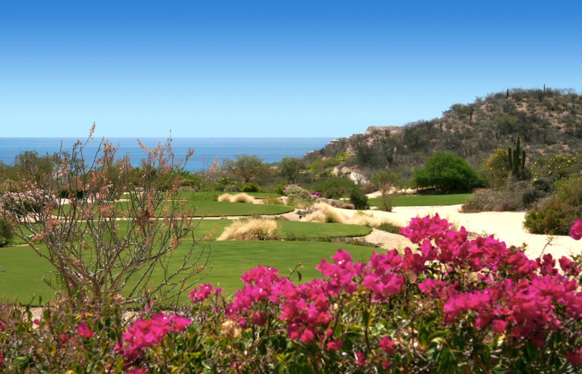 Discover Palmilla